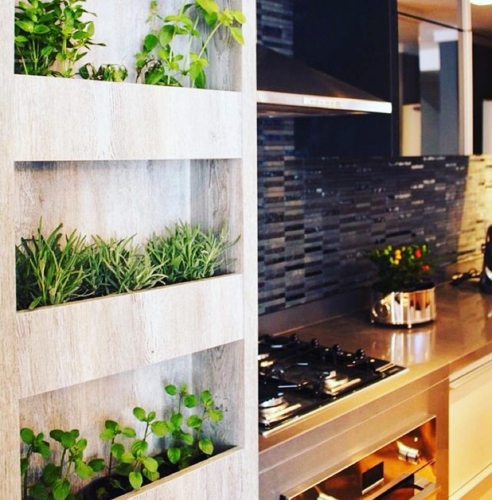 Horta na cozinha: 40 ideias incríveis para inspirar a sua! - Dicas Decor