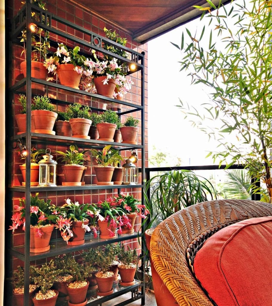 Jardim na varanda: +40 dicas e inspirações para montar o seu - Dicas Decor