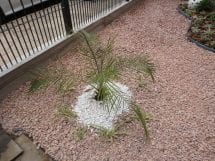Jardim com Pedras: Como Fazer e +40 Lindas Inspirações! - Dicas Decor