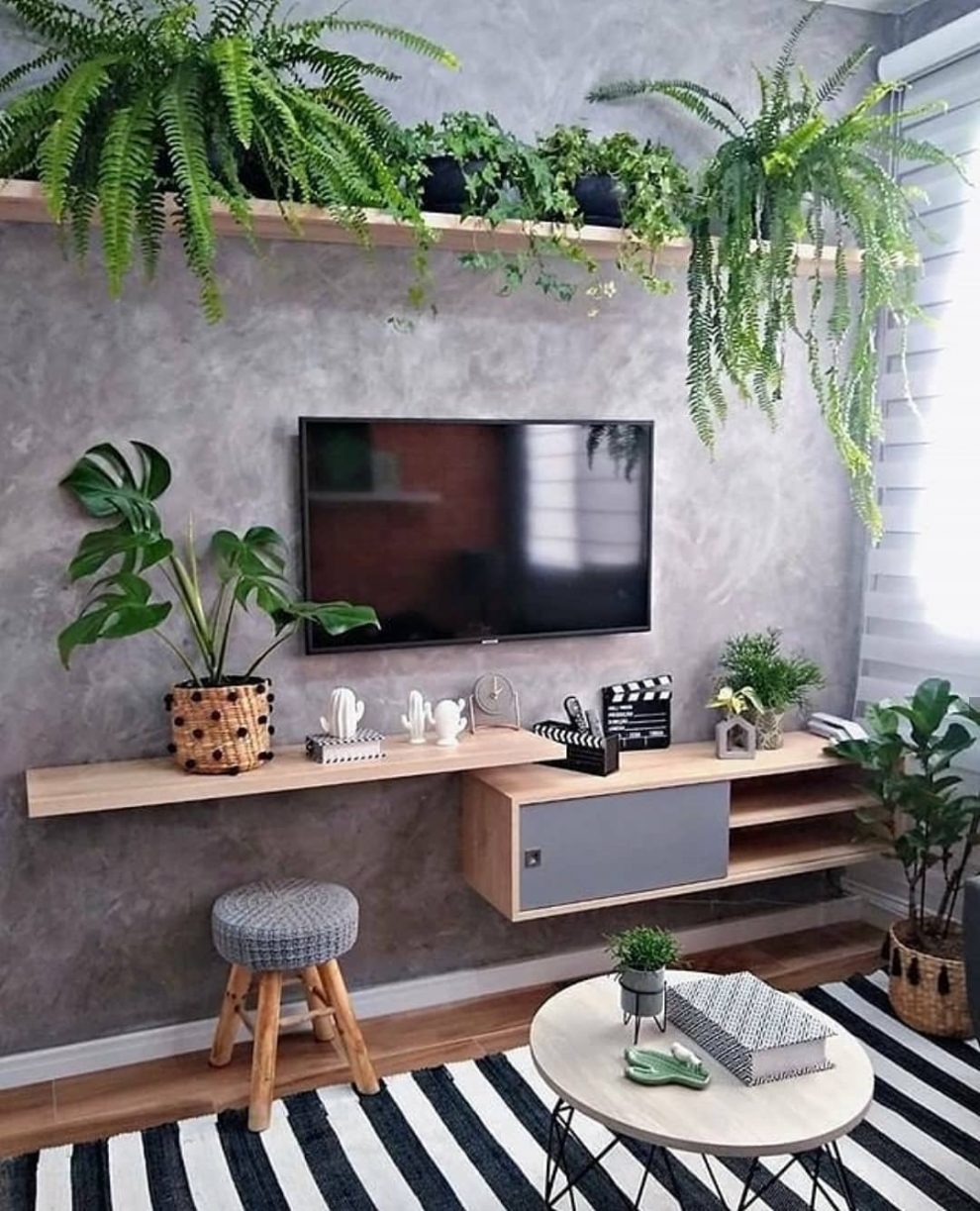 Plantas para Sala: Decoração, Ornamentais e Apartamento! - Dicas Decor